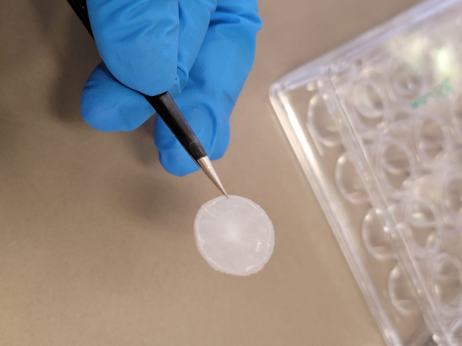 Dalla cellulosa una fibra resistente e versatile per un packaging ...